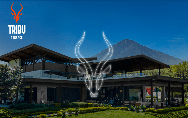 by concuá | Strategic Intelligence & Creation